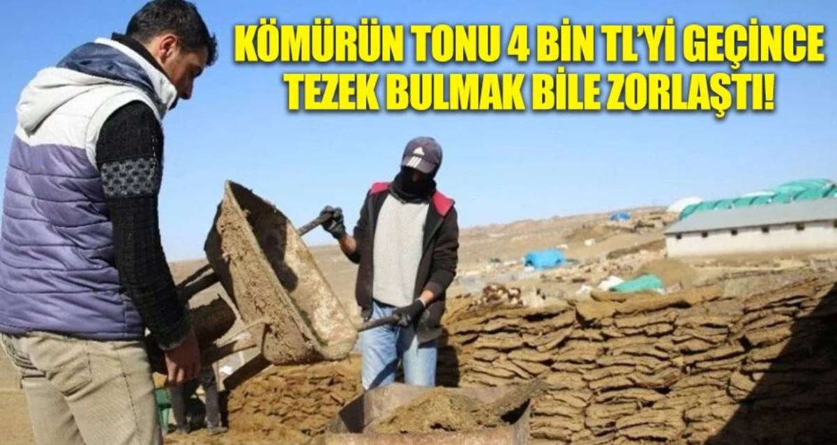 Tezek bulmak bile zorlaştı!